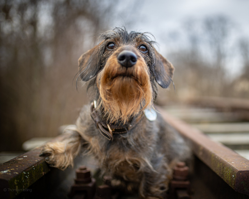 Monats-Challenge „Unschärfe“ – Fotofreunde Münsterland e.V.